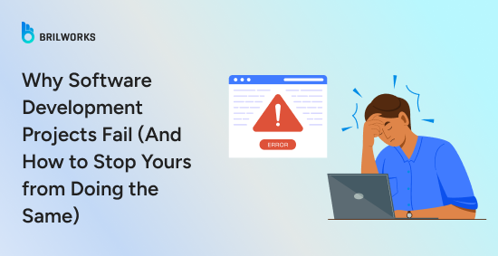 Why Software Development Projects Fail & How to Avoid It